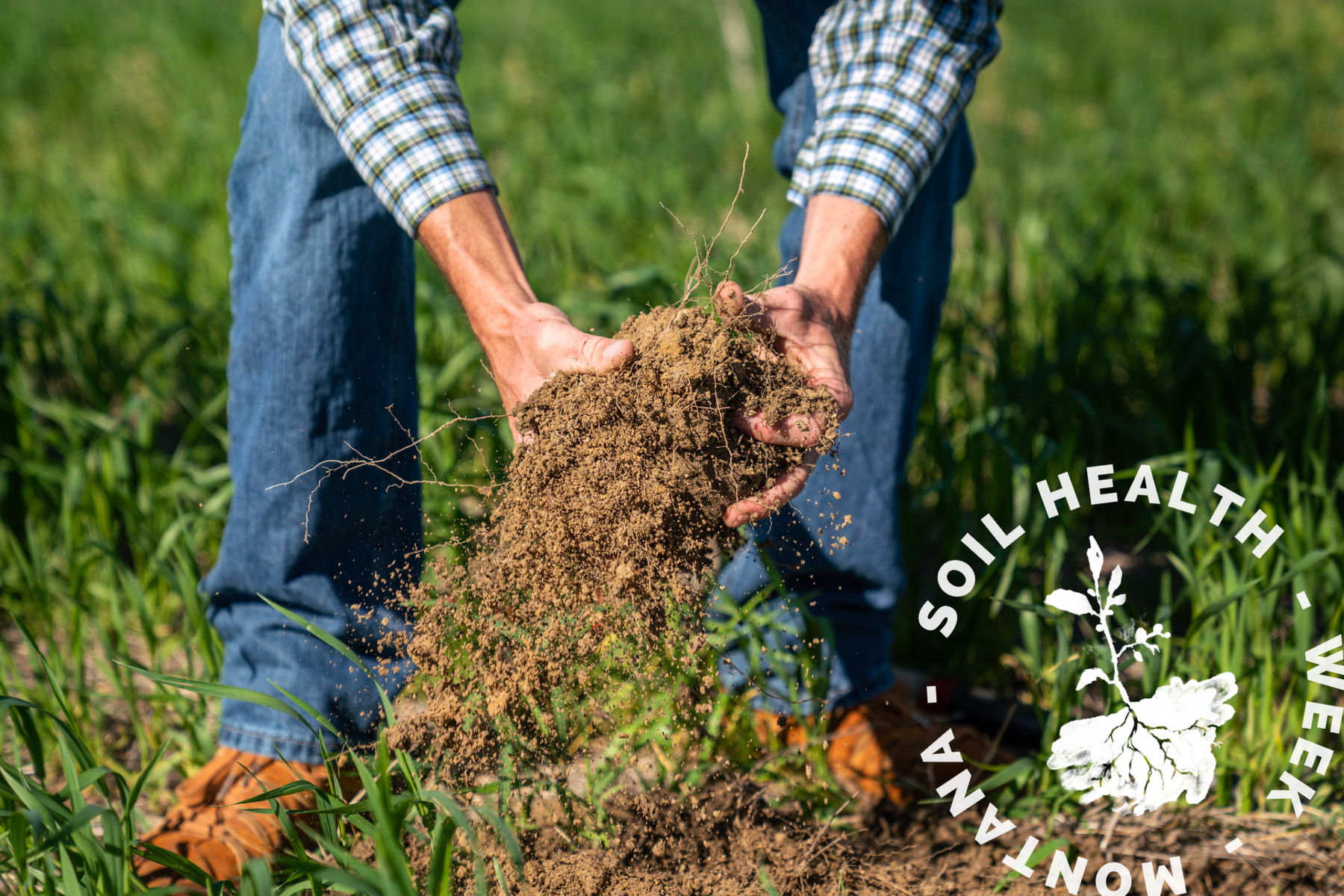 Soil Health Week – Missoula Conservation District